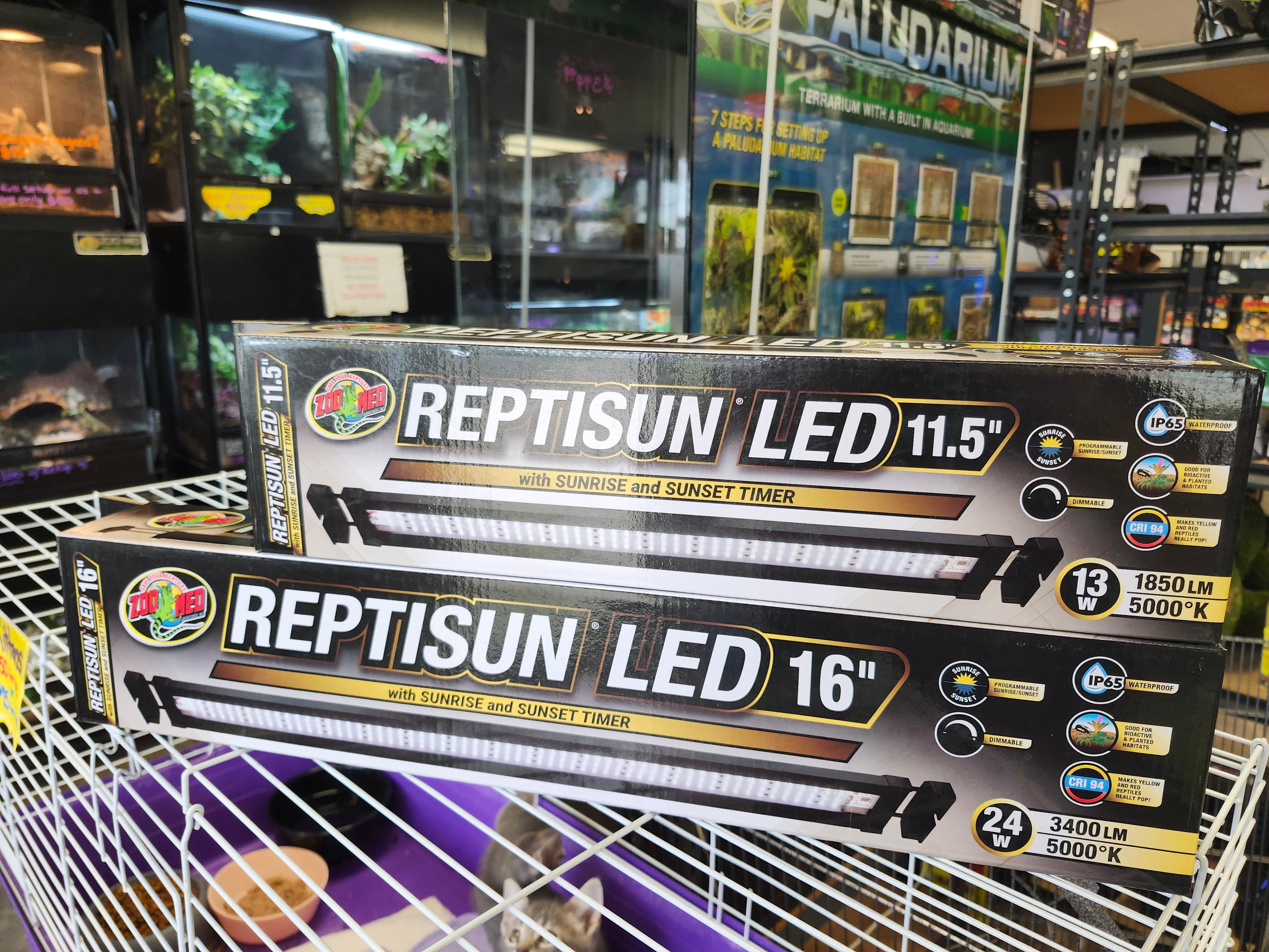 Zoo Med Reptisun LED with Sunset/Sunrise Timer | Rainforest Pets,LLC